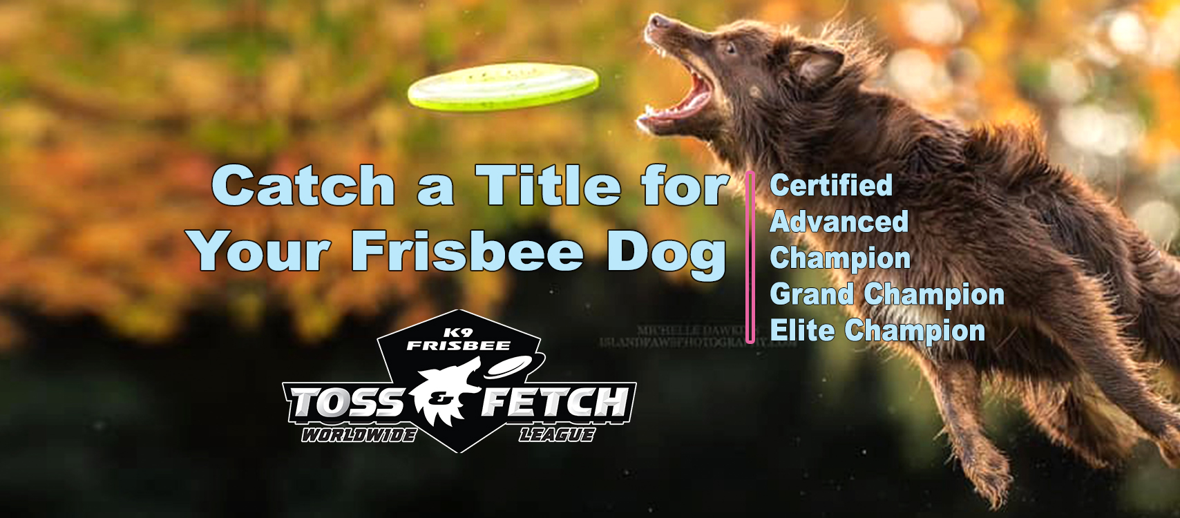 K9 Frisbee Dog Titles - K9 Frisbee Toss & Fetch | Disc Dog League