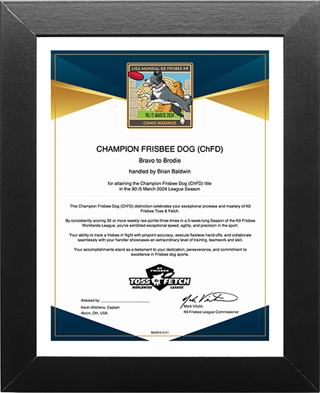 K9 Frisbee Dog Title Certificate Wizard - K9 Frisbee Toss & Fetch ...
