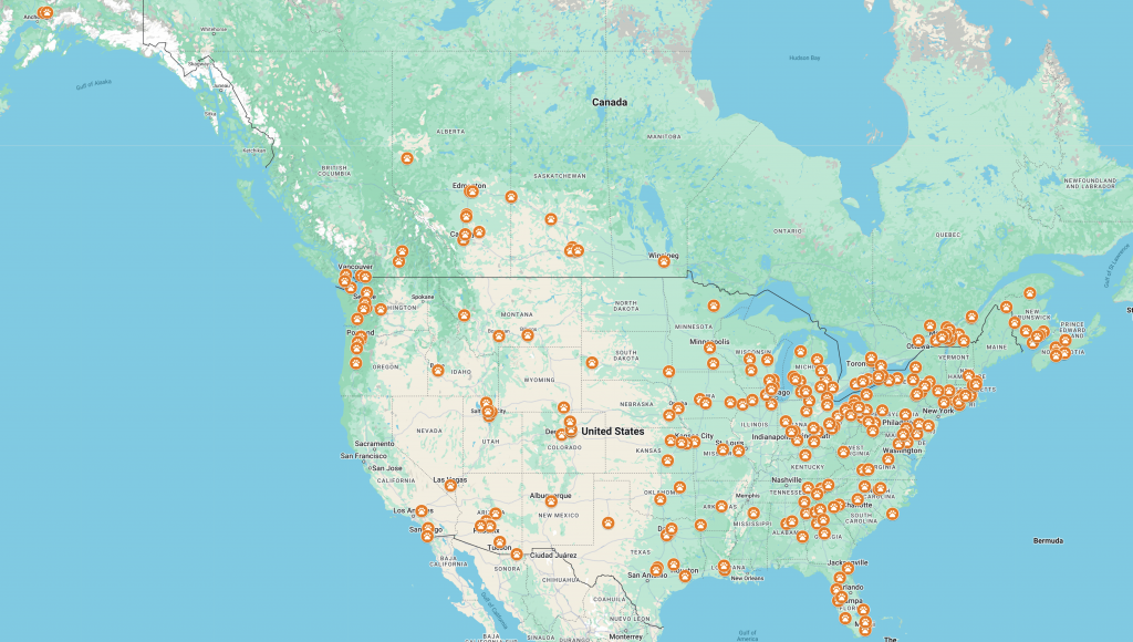 Discover the K9 Frisbee Worldwide League: The Fun, Accessible Dog Sport ...